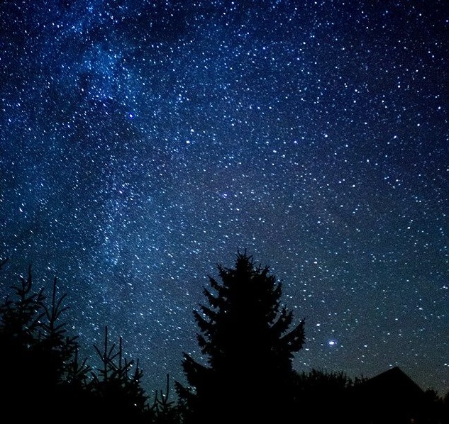 Csillagok az éjszakában | Harmat Kiadó